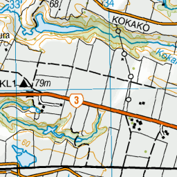 Kokako Stream, Taranaki - NZ Topo Map