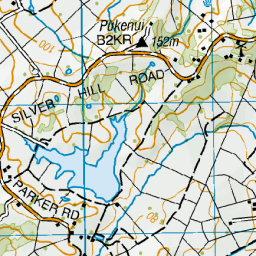 Pukenui, Auckland - NZ Topo Map
