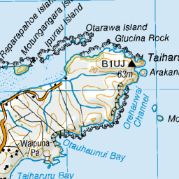 Taiharuru Head, Northland - NZ Topo Map