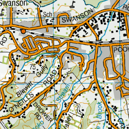 Swanson, Auckland - NZ Topo Map