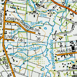 Pape Stream, Auckland - NZ Topo Map