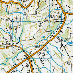 Wainui, Auckland - NZ Topo Map