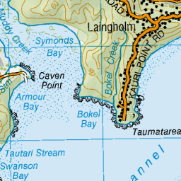 Laingholm, Auckland - NZ Topo Map
