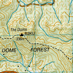 DOME FOREST, Auckland - NZ Topo Map