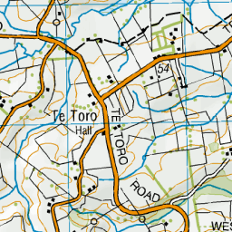 Te Toro, Auckland - NZ Topo Map