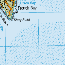 Shag Point, Auckland - NZ Topo Map