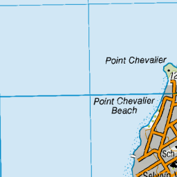 Point Chevalier, Auckland - NZ Topo Map