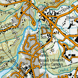 Massey University Albany Campus, Auckland - NZ Topo Map
