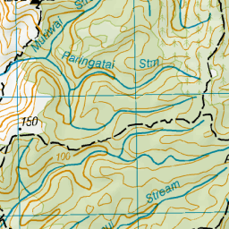 Paringatai Stream, Waikato - NZ Topo Map