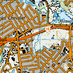 Point Chevalier, Auckland - NZ Topo Map