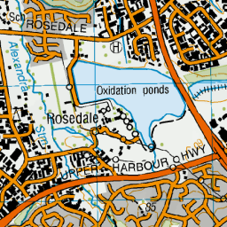 Rosedale, Auckland - NZ Topo Map