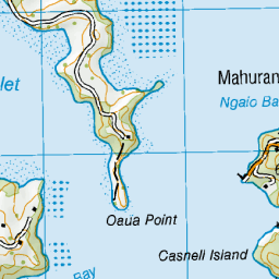 Ngaio Bay, Auckland - NZ Topo Map