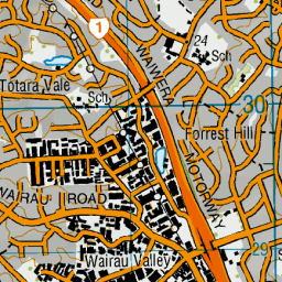Totara Vale, Auckland - NZ Topo Map