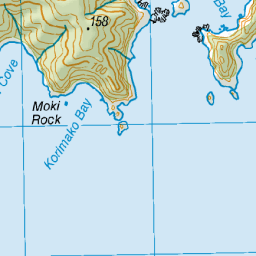 Lady Alice Island, Northland - NZ Topo Map