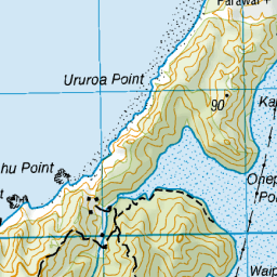 Ururoa Point, Waikato - NZ Topo Map