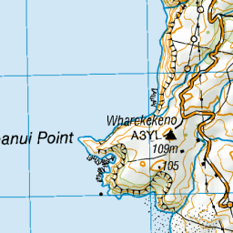 Papanui Point, Waikato - NZ Topo Map