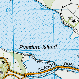 Puketutu Island, Auckland - NZ Topo Map