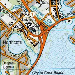Onepoto Domain, Auckland - NZ Topo Map