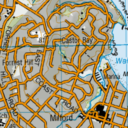 Wairau Creek, Auckland - NZ Topo Map