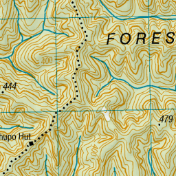 WAITOTARA FOREST, Taranaki - NZ Topo Map