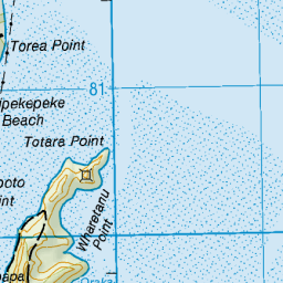 Totara Point, Waikato - NZ Topo Map