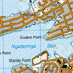 Stanley Point, Auckland - NZ Topo Map