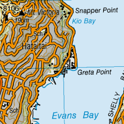 Greta Point, Wellington - NZ Topo Map