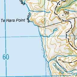 Te Hara Point, Waikato - NZ Topo Map