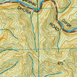 Tangarakau Gorge, Manawatu-Wanganui - NZ Topo Map