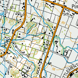 Puni, Auckland - NZ Topo Map