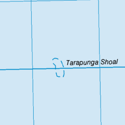 Tarapunga Shoal, Wellington - NZ Topo Map