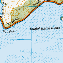 Puti Point, Waikato - NZ Topo Map