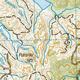 Pukerau, Waikato - NZ Topo Map