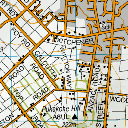 Pukekohe Hill, Auckland - NZ Topo Map