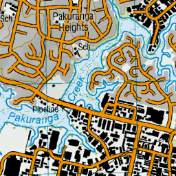 Pakuranga Heights, Auckland - NZ Topo Map