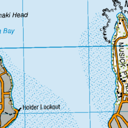 Musick Point, Auckland - NZ Topo Map