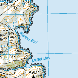 Mullet Bay, Auckland - NZ Topo Map