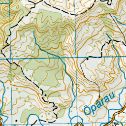Oparau River, Waikato - NZ Topo Map