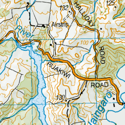 Waingaro River, Waikato - NZ Topo Map