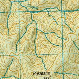 Puketaha, Wellington - NZ Topo Map