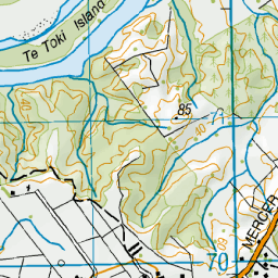 Te Toki Island, Waikato - NZ Topo Map