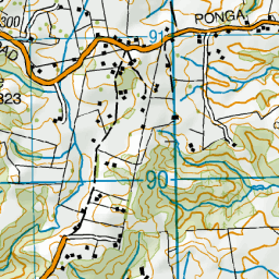 Ponga, Auckland - NZ Topo Map
