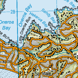 Oneroa, Auckland - NZ Topo Map