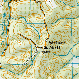 Pukekawa, Auckland - NZ Topo Map