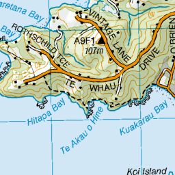 Te Akau o Hine, Auckland - NZ Topo Map