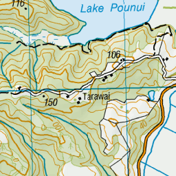 Lake Pounui, Wellington - NZ Topo Map