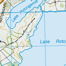 Lake Rotongaro, Waikato - NZ Topo Map