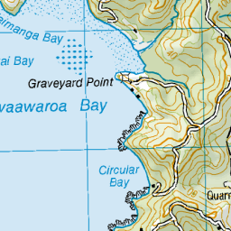 Awaawaroa Bay, Auckland - NZ Topo Map