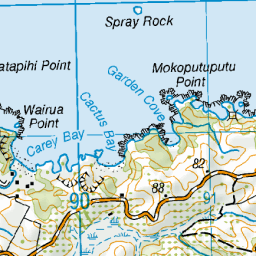 Cactus Bay, Auckland - NZ Topo Map