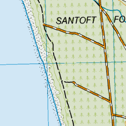 SANTOFT FOREST, Manawatu-Wanganui - NZ Topo Map